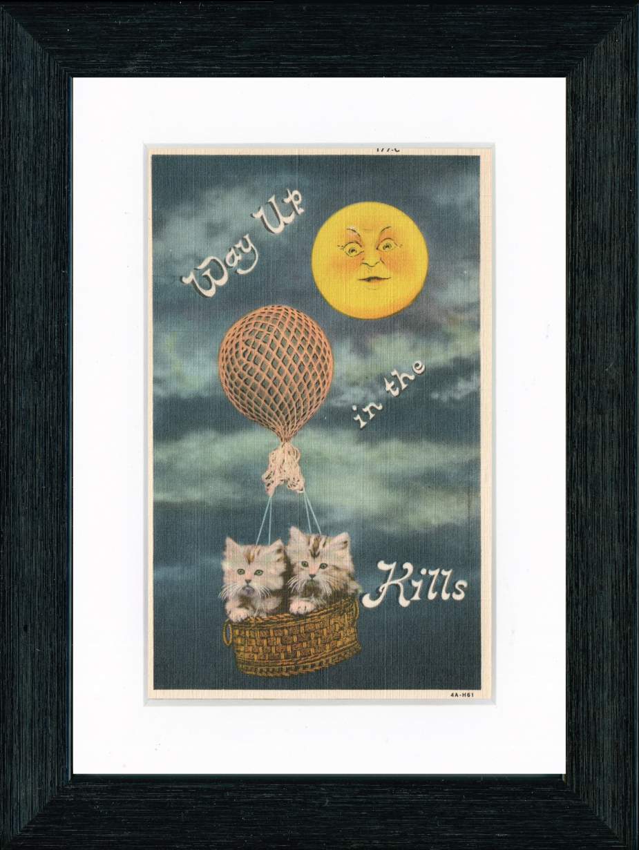 Catskills Cats in Hot Air Balloon - August 24, 1938 - Vintage Postcard – Paleogreetings